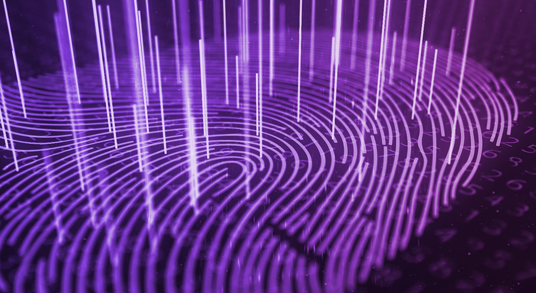 Maintaining and Managing a Positive Digital Footprint | SafeSpace